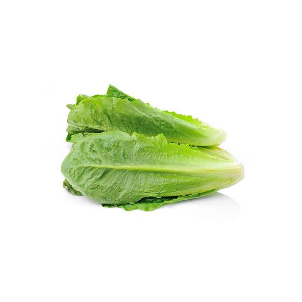 Lettuce - Fruveg